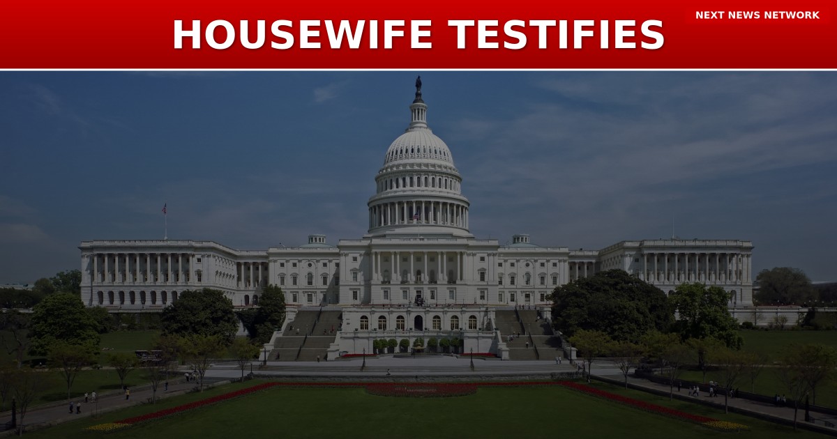 REAL HOUSEWIVES Star TESTIFIES in Congress: American Franchise Act ...