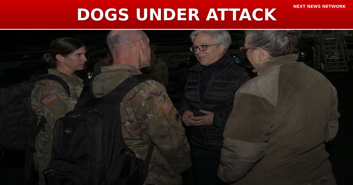 SICK: Anti-ICE Radicals Now TARGETING Border Patrol Dogs in Minneapolis ...