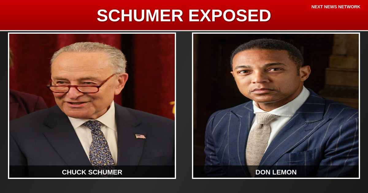 EXPOSED: Chuck Schumer Claims Voter ID Is 'Jim Crow 2.0' While ...