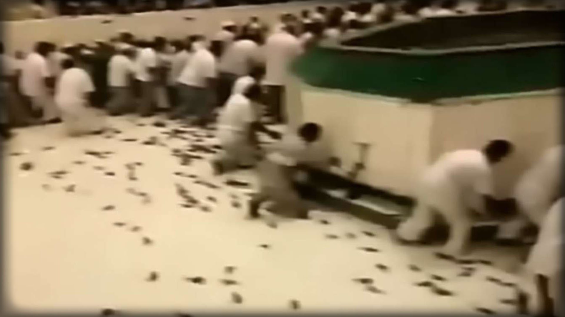 PROPHETIC PANIC: SCARY FOOTAGE SHOWS SWARM OF MYSTERIOUS INSECTS TAKING ...