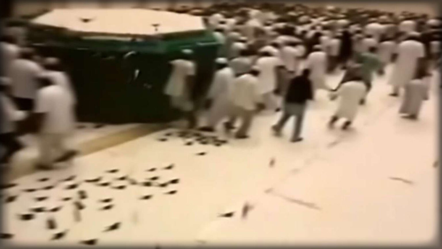 PROPHETIC PANIC: SCARY FOOTAGE SHOWS SWARM OF MYSTERIOUS INSECTS TAKING ...